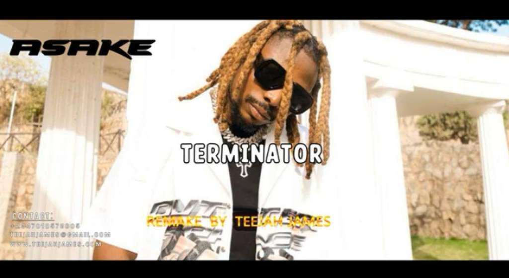 Download Asake - Terminator - Amapiano Type beat (Remake By Teejah ...